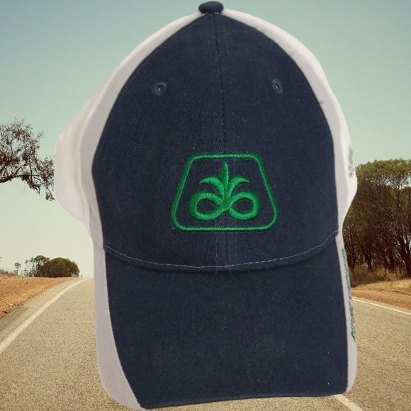 Pioneer Seed | Accessories | Pioneer Seed Logo Blue Embroidered Metal ...